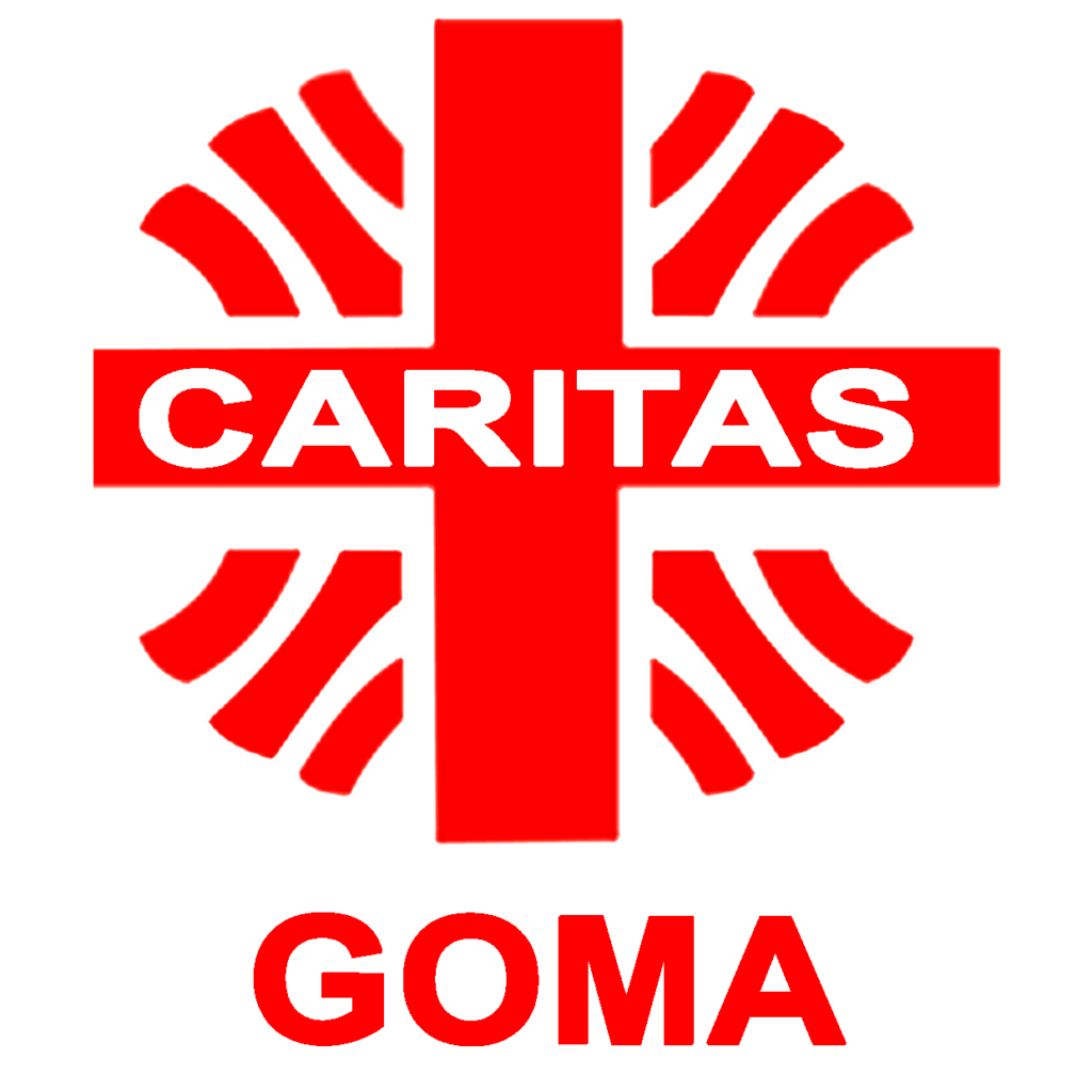 Offre d’emploi: Chargé de Protection et Redévabilité – Caritas ...